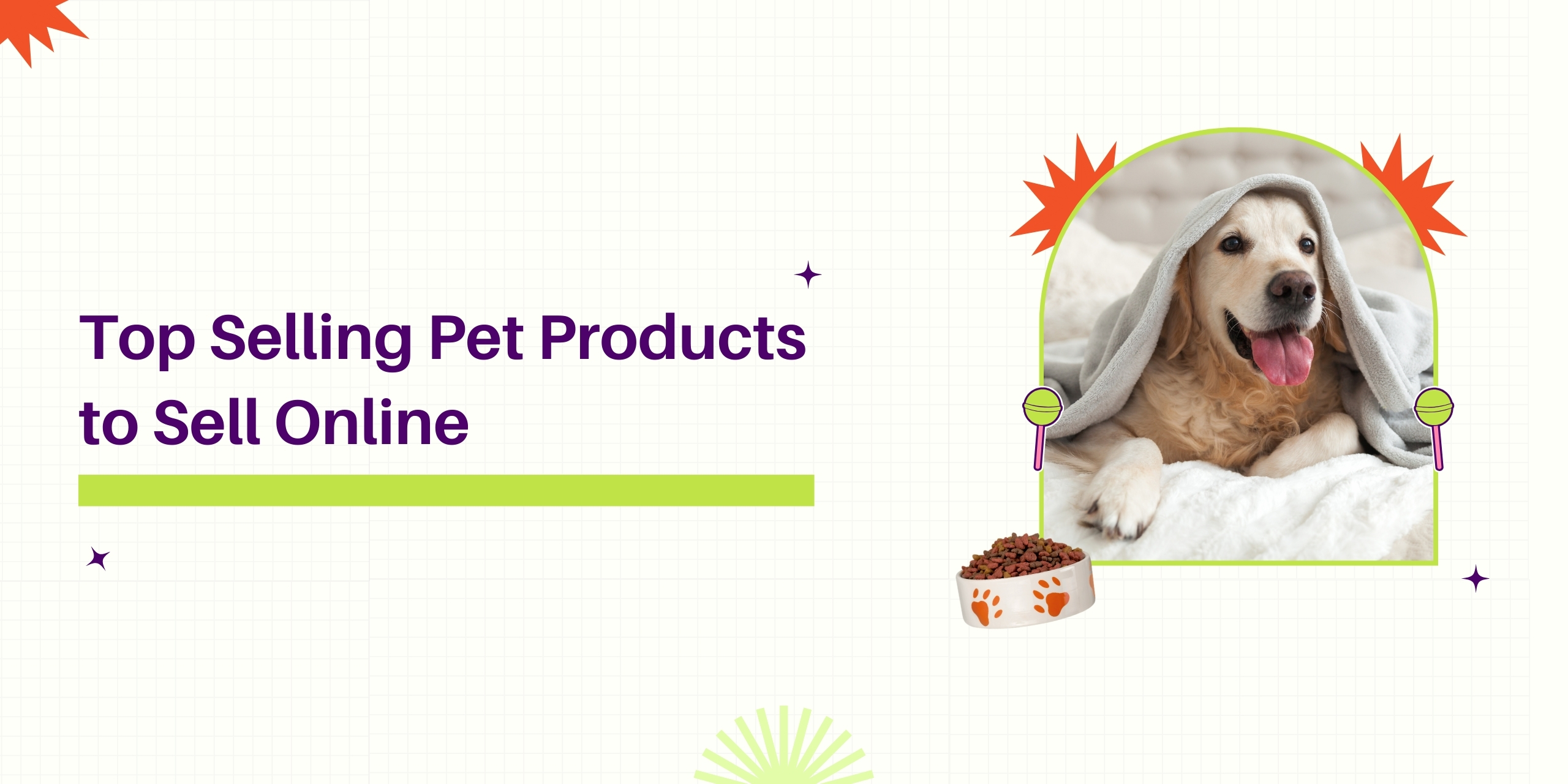 Top Selling Pet Products to Sell Online in 2025 - Outfy